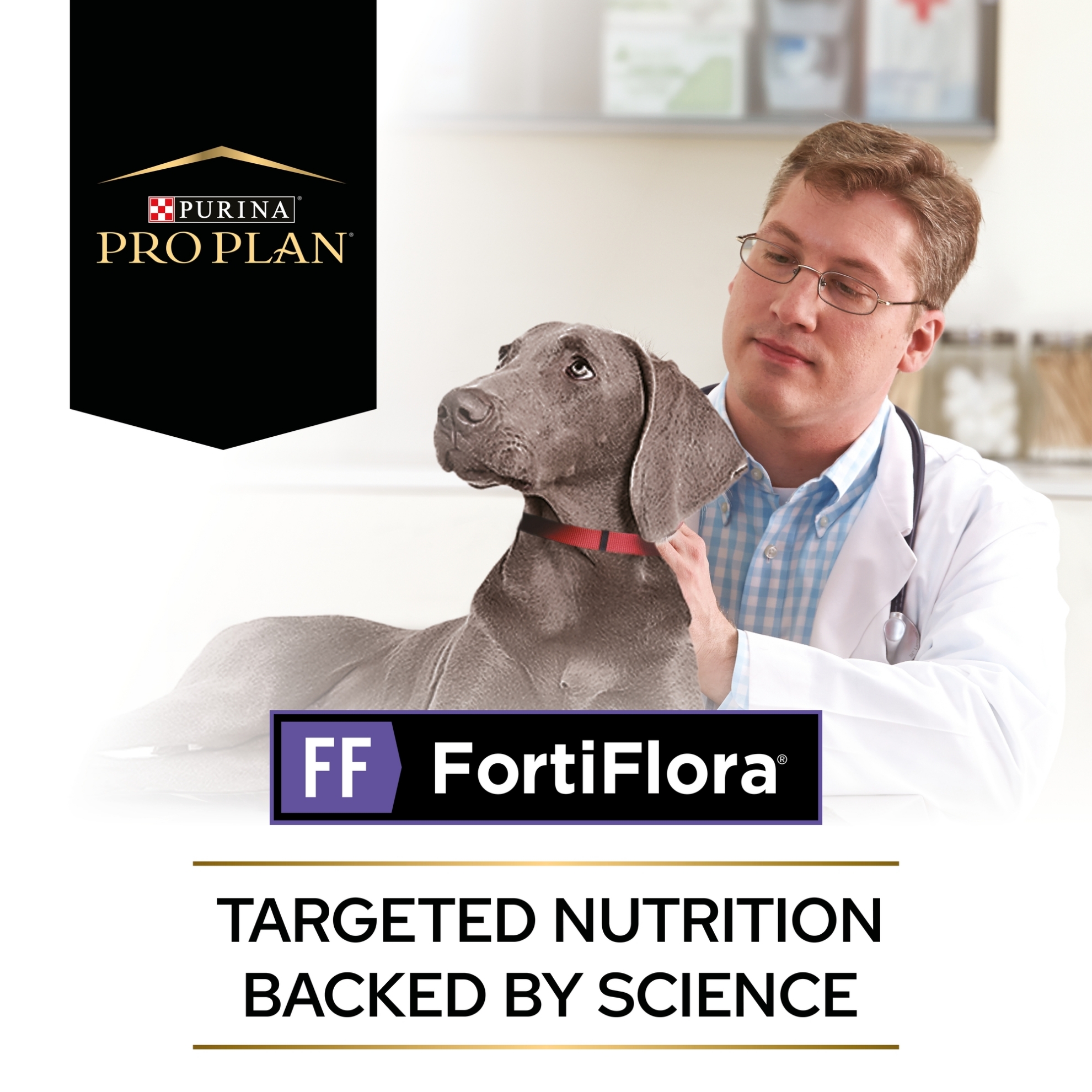 PetsJo. Pro Plan FortiFlora, Dog Probiotic Supplement 30x1g